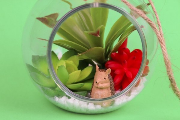 5 MINUTE DOLLAR STORE SUCCULENT TERRARIUM Home Decor Videos Mad in Crafts