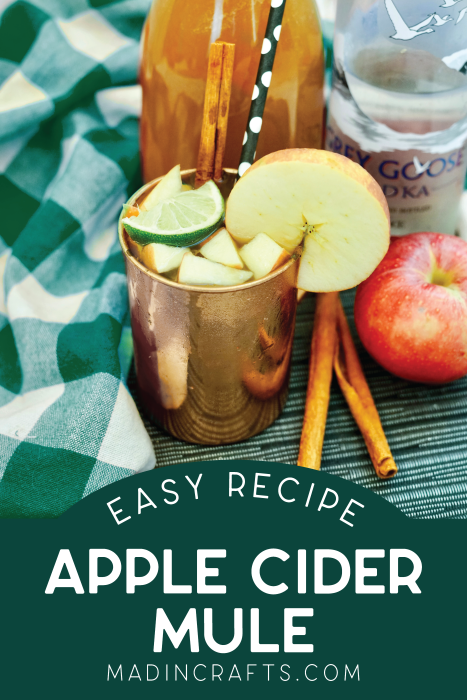 FALL COCKTAIL: APPLE CIDER MULE Recipes Mad in Crafts