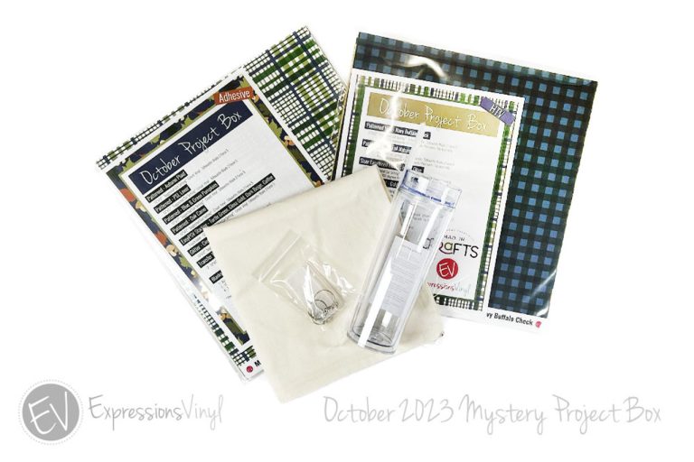 EXPRESSIONS VINYL MYSTERY BOX REVEAL! Round-Ups Mad in Crafts